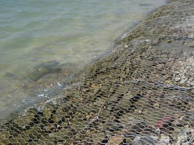 China Anti Erosion Flexible Ecological Gabion Mesh Retaining Wall 80x100mm for sale