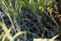 China PE Coated Plastic Gabion Mesh Retaining Earth Or Water Structure for sale