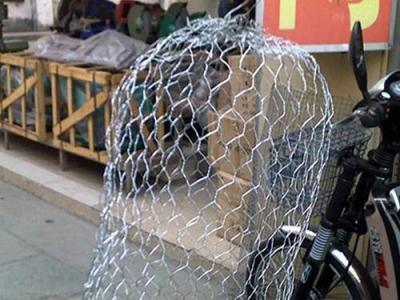 China Tensile Shear Corrosion Resistant Alloy Hexagon Mesh Pocket Protection for sale
