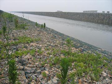 China Low Flexibility Good Embankment Stone Cage Net 80x100mm for sale