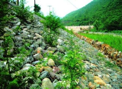 China Anticorrosion Green Gabion Wire Mesh Can Be Planted Revetment River for sale