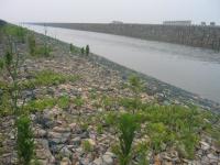 China Anticorrosion Green Gabion Wire Mesh Can Be Planted Revetment River for sale