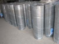 China 5m 10m 25m Length Half Inch Welded Steel Wire Mesh  Corrosion Proof for sale