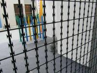 China BTO-18 High Carbon Steel Anti Theft razor Barbed Wire Fence For Protection Rustproof for sale