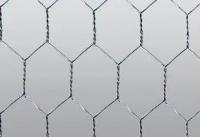 China Galvanized Hexagonal Wire Netting 3feet breeding chicken coop wire mesh for sale