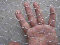 China Galvanized Hexagonal Wire Netting 3feet breeding chicken coop wire mesh for sale