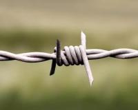 China Galvanized Barbed Wire Fence Low Carbon Steel Wire 3.5mm for sale