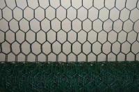China 25M Plastic Coated Chicken Wire Netting 0.8mm hexagonal poultry netting for sale