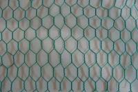 China 30M Hexagonal Wire Netting pvc shrink galvanized hexagonal chicken wire mesh for sale