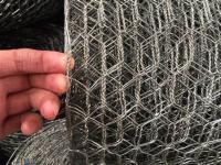 China Garden 1/2'' Hexagonal Wire Netting 12M galvanised chicken wire mesh for sale