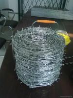 China Galvanized Reverse Twist Barbed Wire Fence Hot Dip Galvanized BWG14xBWG14 for sale