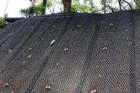 China Polypropylene Stone Cage Wire Mesh Mike Earth Mat  Gabion Baskets 2mx1mx1m for sale