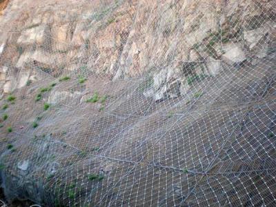 China 100x120mm Rock Fall Netting 4.0mm Gabion Basket Mesh for sale