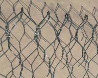 China PET 100x120mm galvanized hexagonal chicken wire mesh ecological governance for sale
