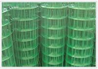 China 3.5mm Coated Welded Wire Mesh，7ft Galvanized Stainless Steel Mesh Roll for sale