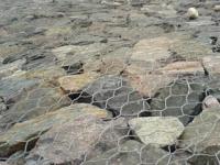 China Galvanized Lead  Rockfall Protection Netting  Gabion Netting 500Mpa for sale