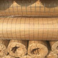 China 1/2*1m*14m Galvanized Steel Welded Wire Mesh Plain Weave for sale