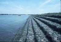 China 4x1x0.5m Hexagonal Wire Mesh Gabion Bank Protection Slope Protection Flood Control for sale