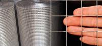 China 2 X 2 Welded Steel Wire Mesh Galvanized 304 304l 316 316l Stainless for sale