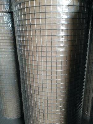 China 1/4 Inch Galvanized Wire Mesh Iron Square Stainless Steel Construction Security for sale