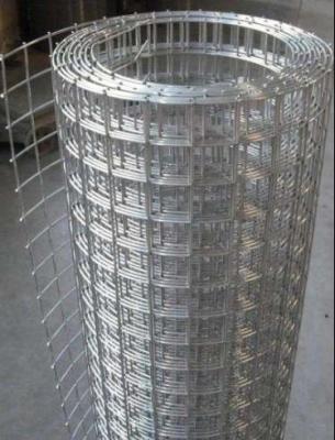 China 1/2'' 1'' 3/4'' 2'' Size Welded Steel Wire Mesh Electric Galvanized / Hot Dipped Galvanized for sale
