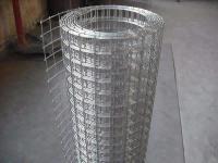 China 1/4 1/2 3/4 1 2 Inch Welded Wire Mesh Galvanized For Fence for sale