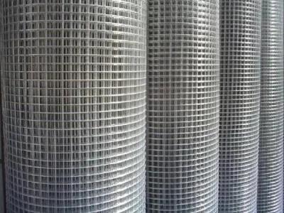 China 1/4 1/2 3/4 1 2 Inch Welded Wire Mesh Galvanized For Fence for sale