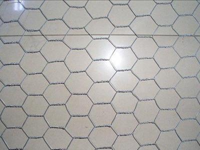 China 2*1*0.5m Stone Cage Wire Mesh Corrosion Resistant Cage Net for sale