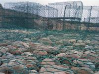 China 60*80mm Gabion Stone Cage Polyethylene Coating Retaining Wall Slope Protection for sale