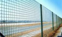 China 14 Gauge Cs Pvc Coated Welded Wire Mesh 2