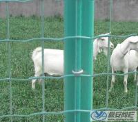 China 0.56mm Dia Plastic Coated Welded Wire Mesh 2