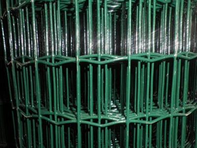 China 1x1 Electroplating Pvc Coated Welded Wire Mesh Anti Rust Dipped Plastic for sale