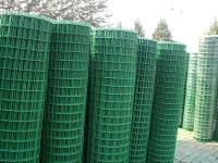 China 1/4 Inch X 1/4 Inch Pvc Welded Wire Mesh Anti Corrosion Beautiful Protective Net for sale