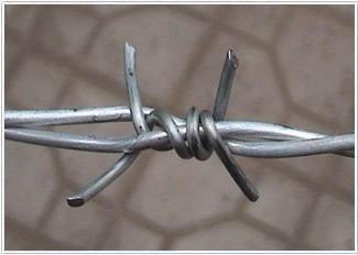 China BWG 12 Double Strand Barbed Wire Hot Dip Galvanized Beautiful Use for sale