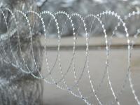 China Bto-10 Barbed Wire Fence Single Loop Blade Gill Netting Protection for sale