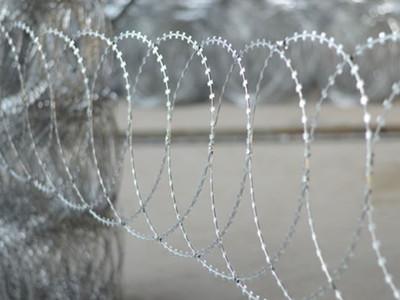 China Bto-10 Barbed Wire Fence Single Loop Blade Gill Netting Protection for sale