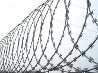 China Bto-10 Barbed Wire Fence Single Loop Blade Gill Netting Protection for sale