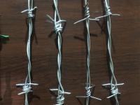 China 14*16# Security Barbed Wire Fencing Electro Galvanized Double Strand for sale