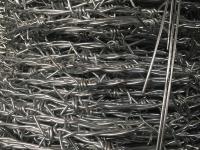 China 14*16# Security Barbed Wire Fencing Electro Galvanized Double Strand for sale