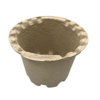 China Dry Press Molded Paper Pulp Inserts 3mm Thickness For Fowler Bottle for sale