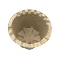 China Dry Press Molded Paper Pulp Inserts 3mm Thickness For Fowler Bottle for sale