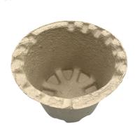 China Dry Press Molded Paper Pulp Inserts 3mm Thickness For Fowler Bottle for sale