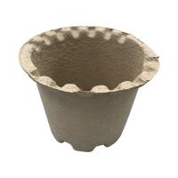 China Dry Press Molded Paper Pulp Inserts 3mm Thickness For Fowler Bottle for sale