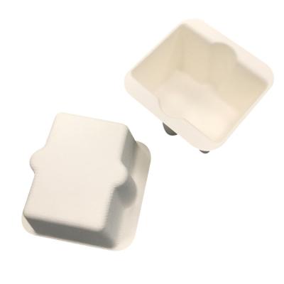 China Thermoformed Sugarcane Pulp Packaging 3mm Thickness Shockproof for sale