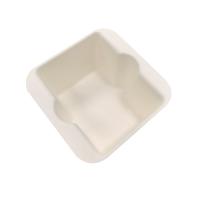 China Thermoformed Sugarcane Pulp Packaging 3mm Thickness Shockproof for sale