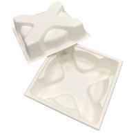 China Bamboo Sugarcane Pulp Packaging 0.8mm Thickness Thermoformed for sale