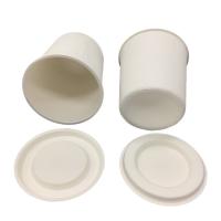 China Wet Press Sugarcane Pulp Packaging , Eco Friendly Molded Paper Packaging for sale