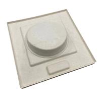 China Biodegradable Bamboo Paper Tray OEM Acceptable Oilproof Staticproof for sale