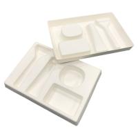 China Disposable Biodegradable Eco friendly Custom Pulp Molded Package Razor Product Sugarcane Paper Pulp Tray for sale