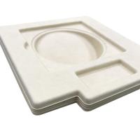 China Recycle Eco Friendly Paper Pulp Packaging Bamboo Pulp Brown Tray Customized Service for sale